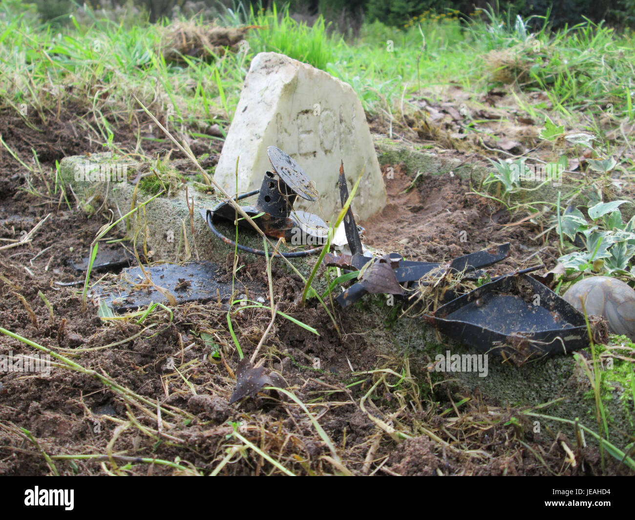 A photograph of Tierfriedhof Saarbrücken, an animal cemetery in ...