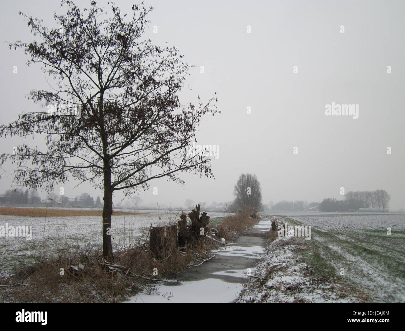 The Hockenheimer Rheinbogen is a scenic bend in the Rhine River near ...