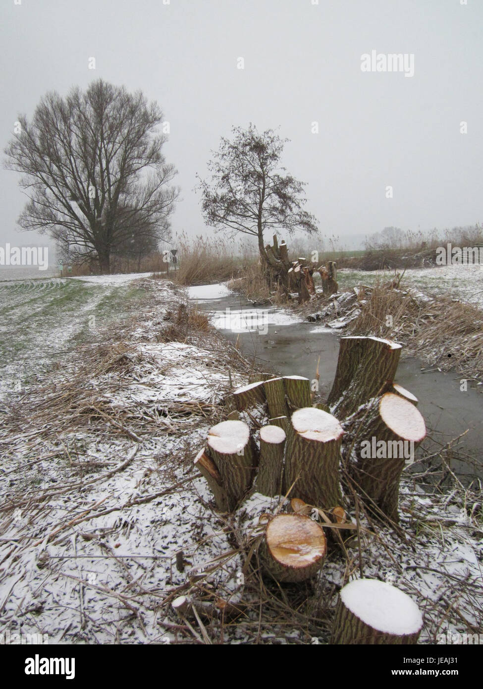 The Hockenheimer Rheinbogen is a natural area near the Rhine River in ...