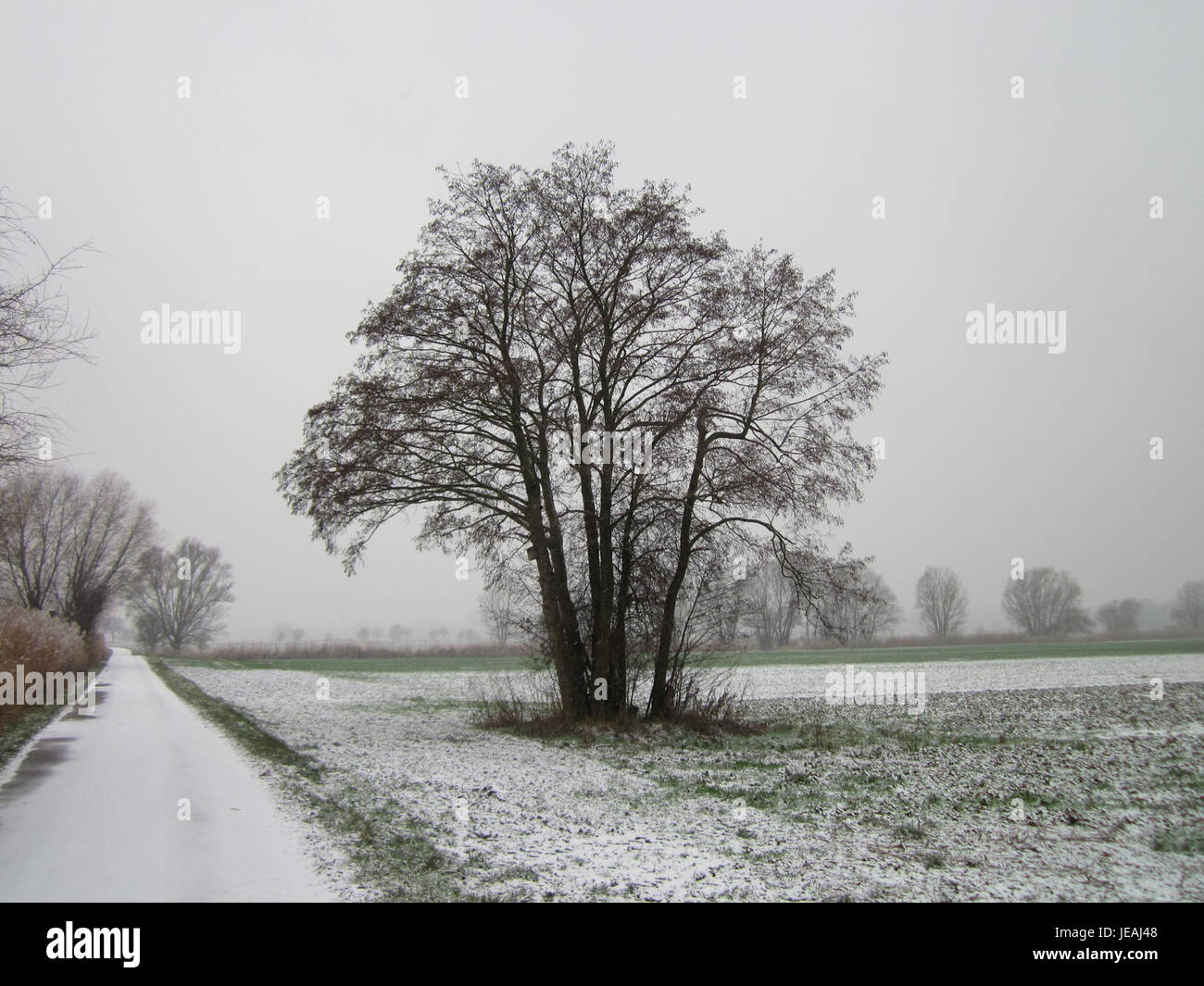 A landscape photograph of the Hockenheimer Rheinbogen, a meander of the ...