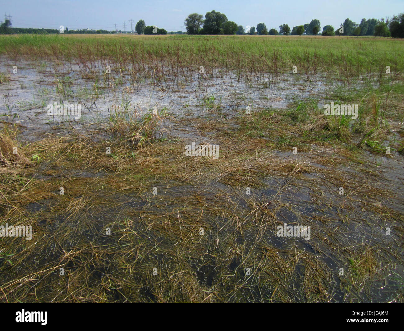 An image of Karl-Ludwig-See, a lake in Germany, taken on July 9, 2013 ...