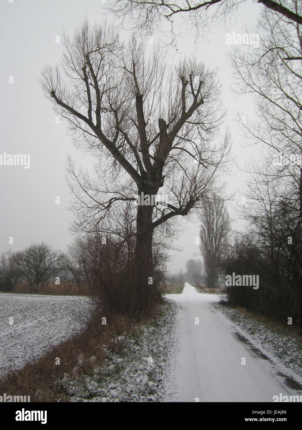 This image from January 16, 2013, captures the Hockenheimer Rheinbogen ...