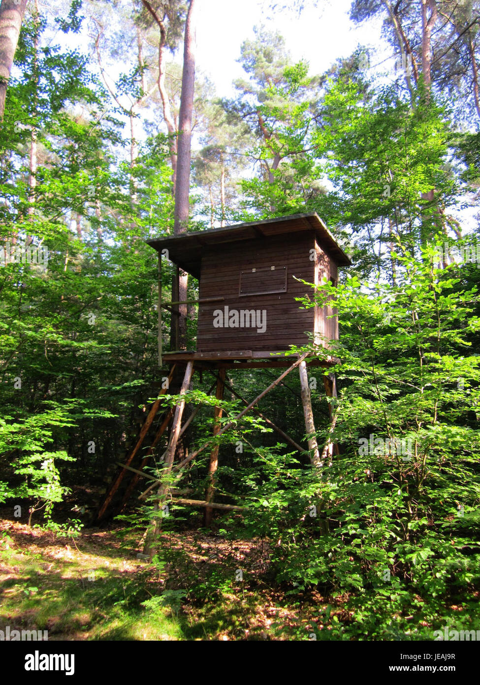 Taken on july 10 hi-res stock photography and images - Alamy