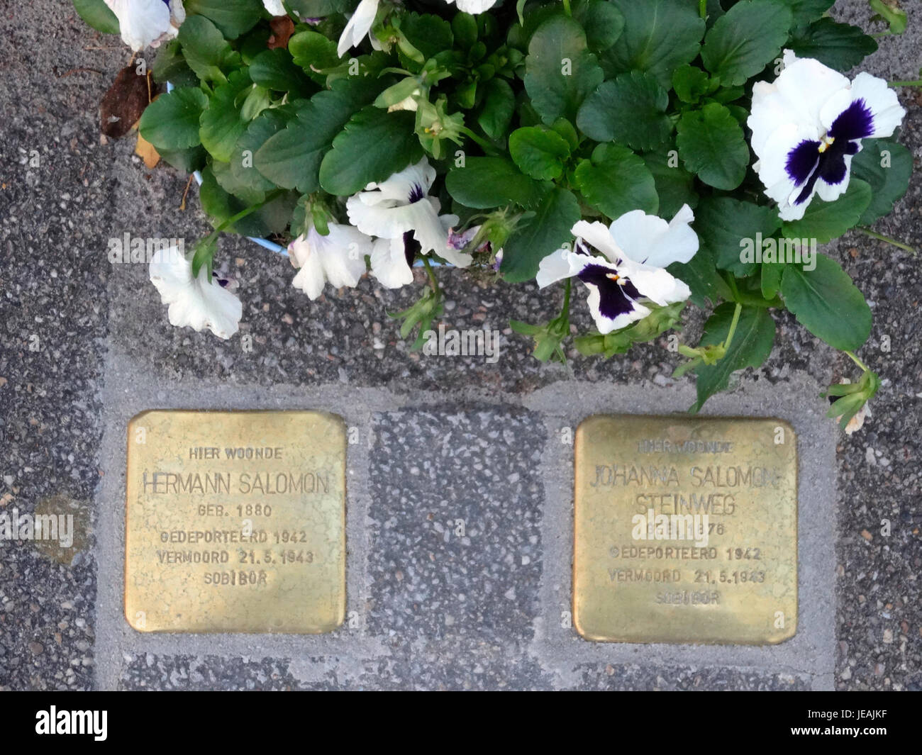 Gasselterstraat hi-res stock photography and images - Alamy