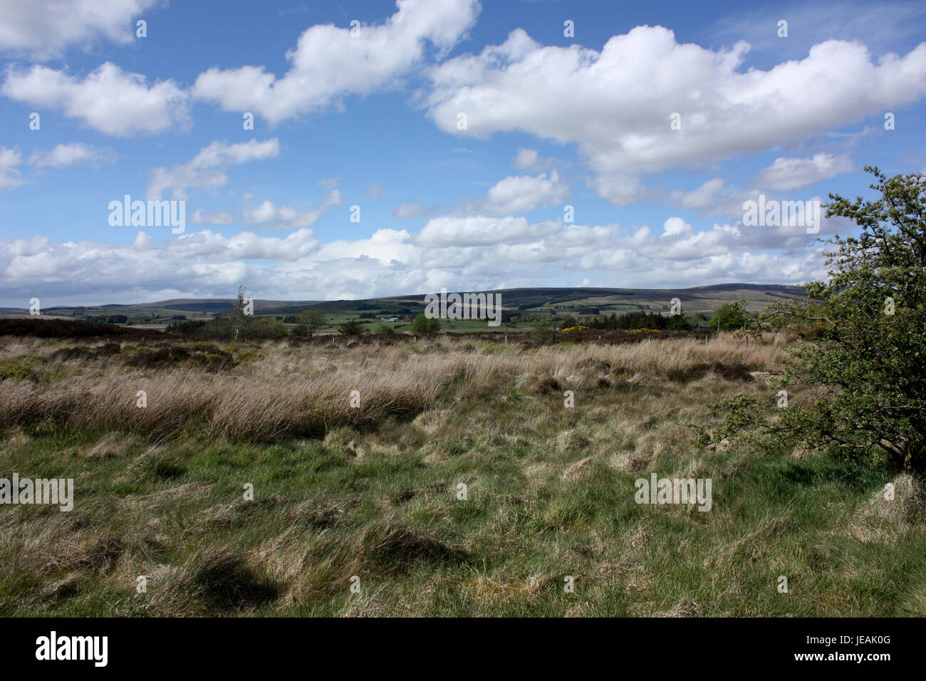 Cookstown northern ireland hi-res stock photography and images - Alamy