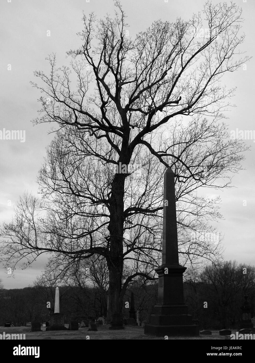 30 photographs Black and White Stock Photos & Images - Alamy