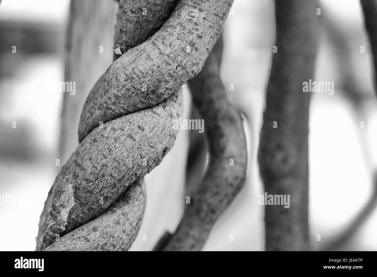 Athletic maneuver Black and White Stock Photos & Images - Alamy