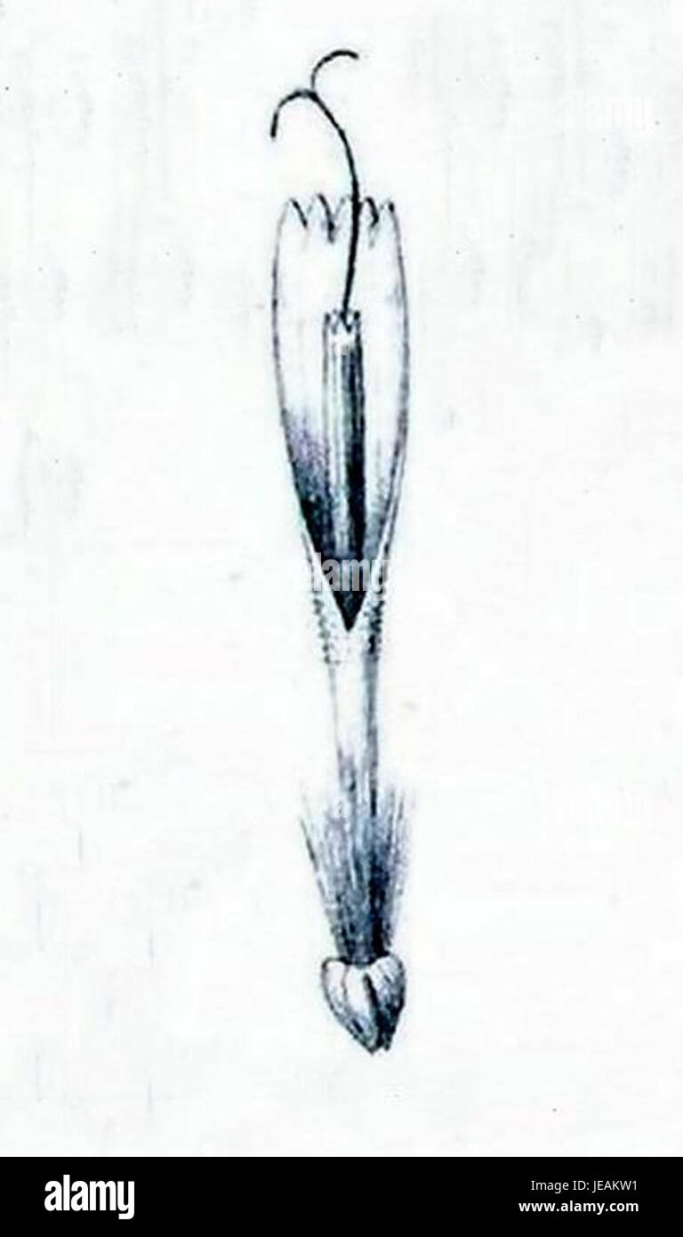 Pharmaceutical innovation Cut Out Stock Images & Pictures - Alamy