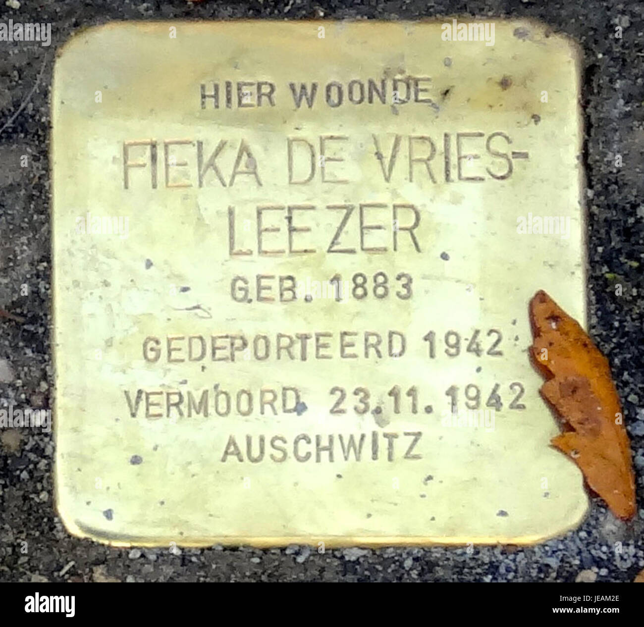 This image from November 6, 2014, highlights a Stolperstein (stumbling ...