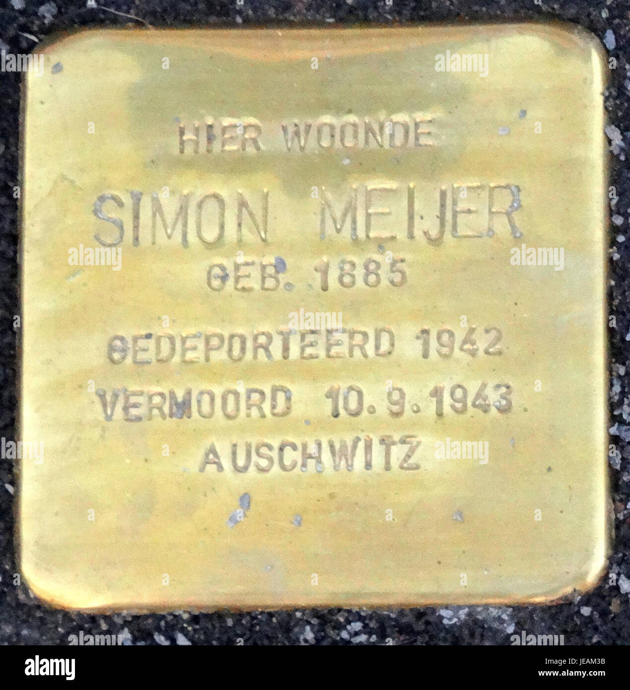 This image features a detailed view of *Stolpersteine* (stumbling ...
