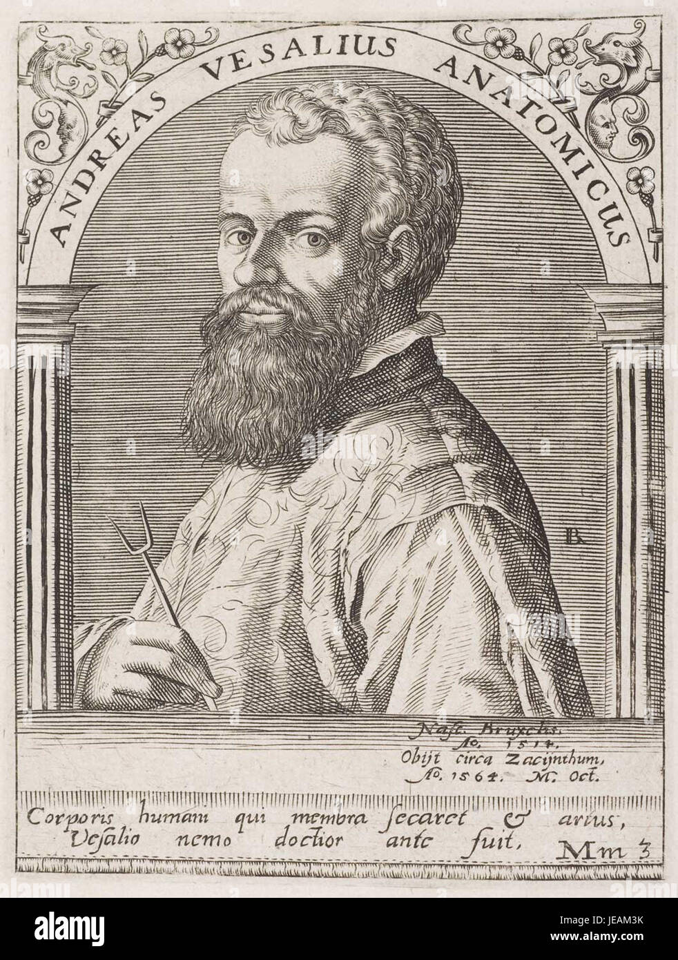 Andreas Vesalius Anatomicus Stock Photo - Alamy