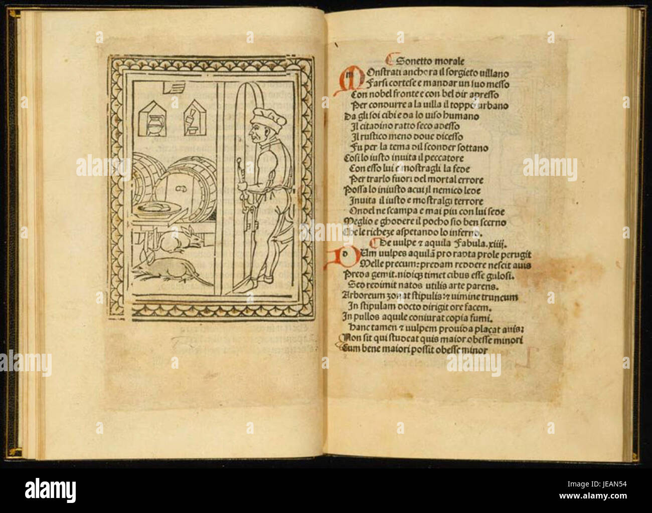 Aesopus moralisatus refers to a moral story attributed to Aesop, known ...