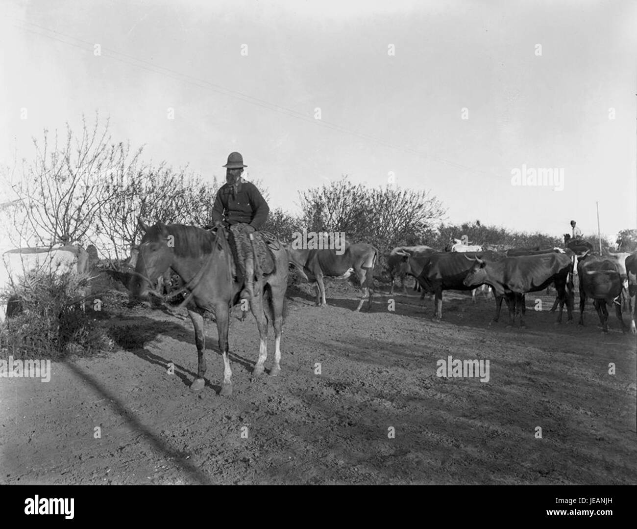 A photograph titled 'Arriero' from 1920, showing a traditional Spanish ...