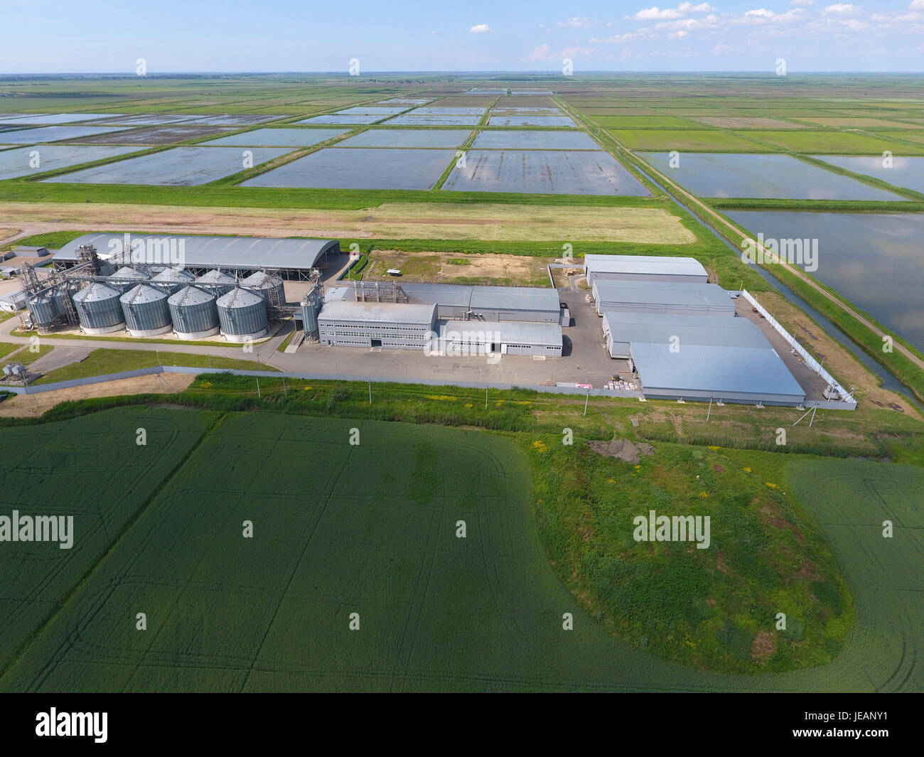 Grain terminal. Plant for the drying and storage of grain. Rice plant ...
