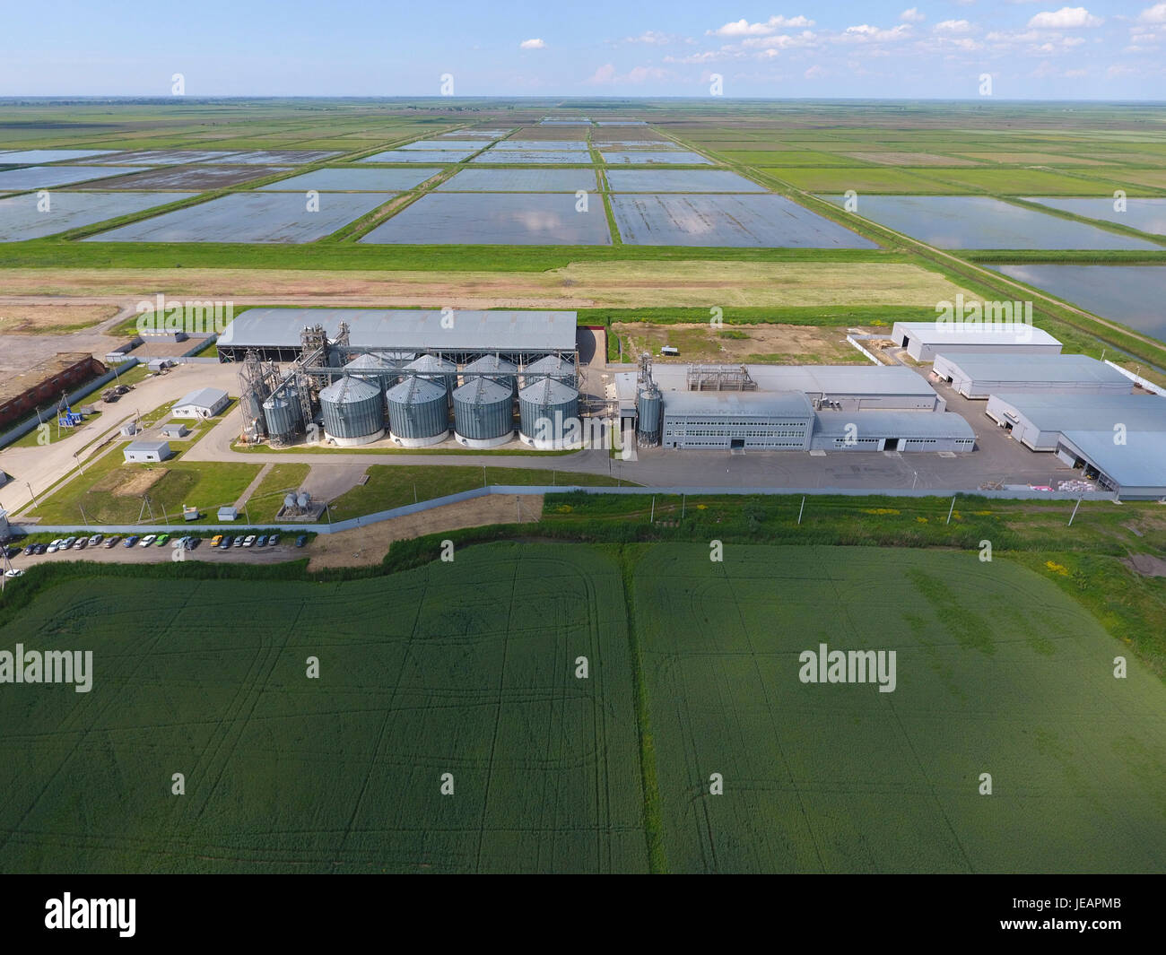 Grain terminal. Plant for the drying and storage of grain. Rice plant ...