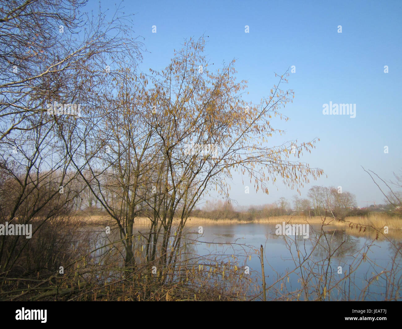 Reilinger See is a lake located in Germany. The area is a popular site ...