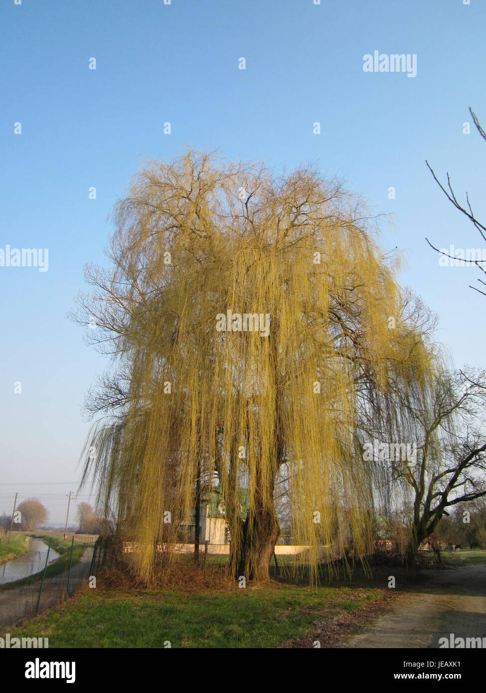 Wet lowland areas hi-res stock photography and images - Alamy