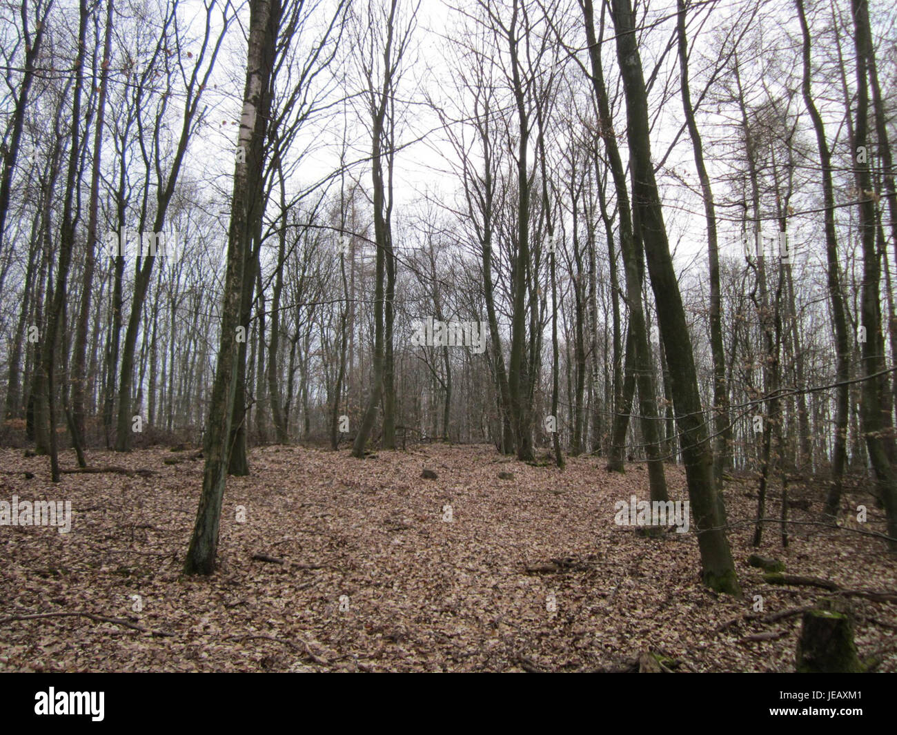 Sonnenberg is a well-known park located in the city of Wiesbaden ...