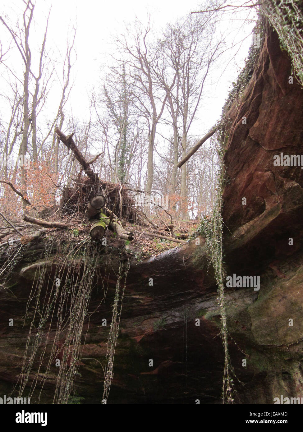 This entry likely refers to a hiking or walking trail in Sonnenberg ...