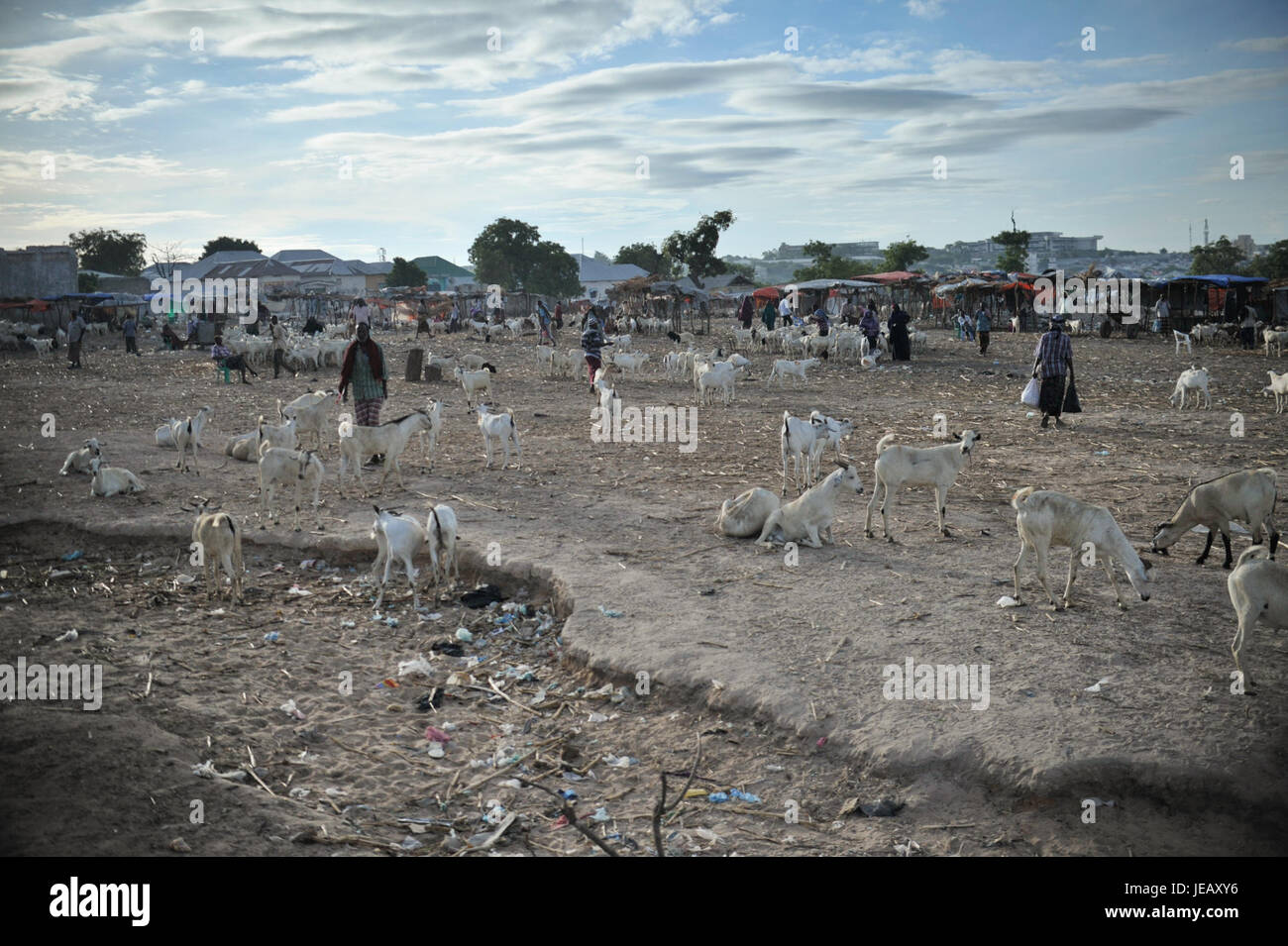 A photograph from April 14, 2013, showing the Bakara Animal Market in ...