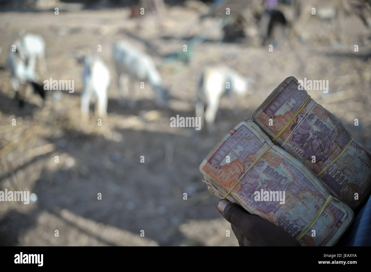 Bakara market somalia hi-res stock photography and images - Alamy