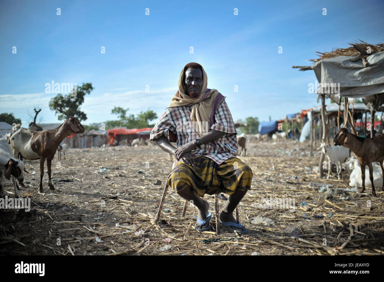 The Bakara Animal Market in Mogadishu, Somalia, is a major market known ...