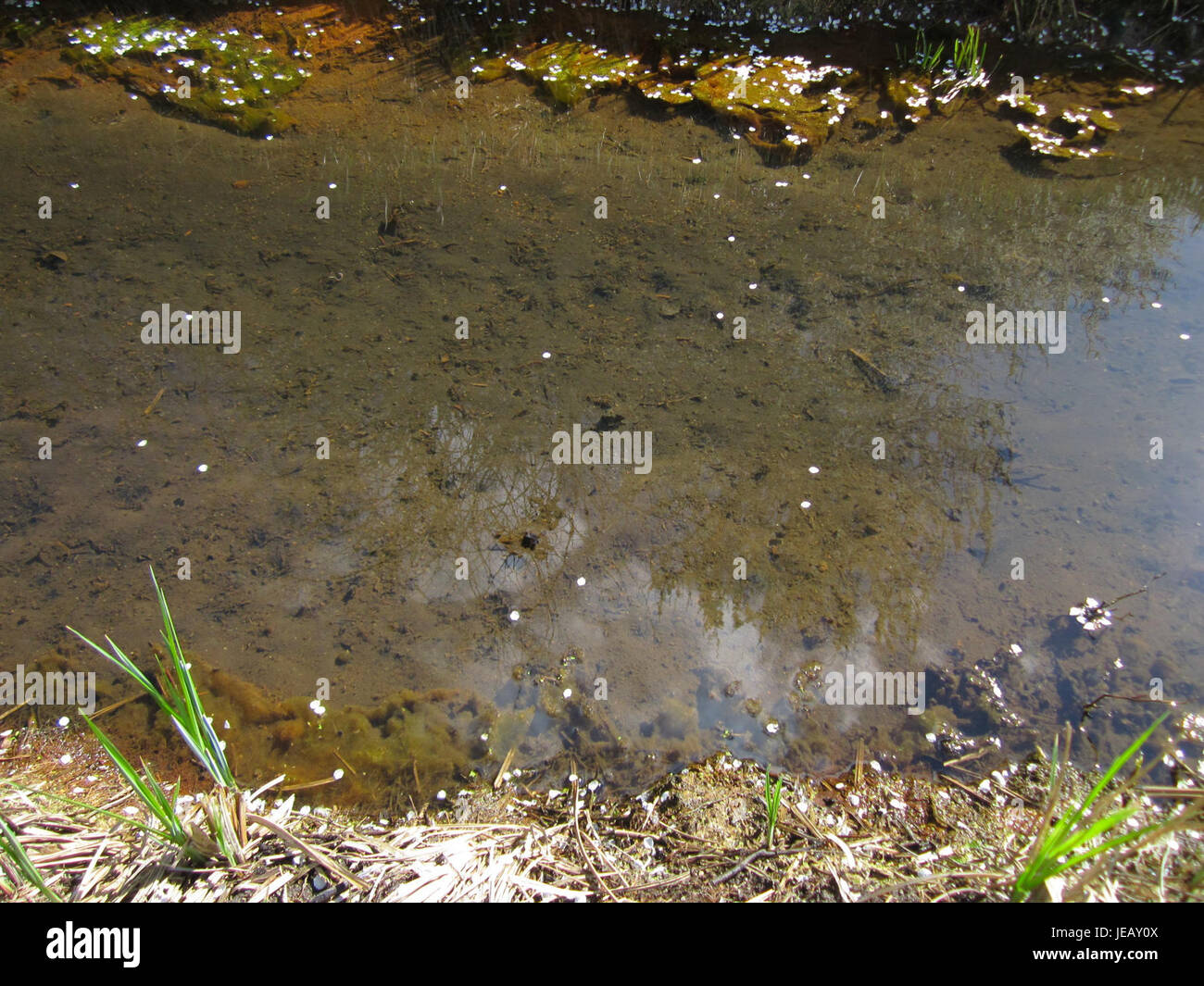 A photograph taken on April 13, 2013, showing the scenic Hockenheimer ...