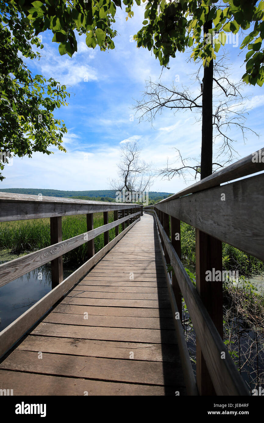 Swamp Crossing High Resolution Stock Photography and Images - Alamy