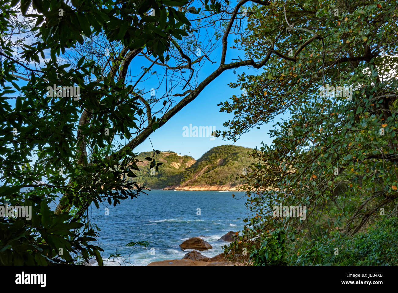 Rainforest sunlight ocean hi-res stock photography and images - Alamy