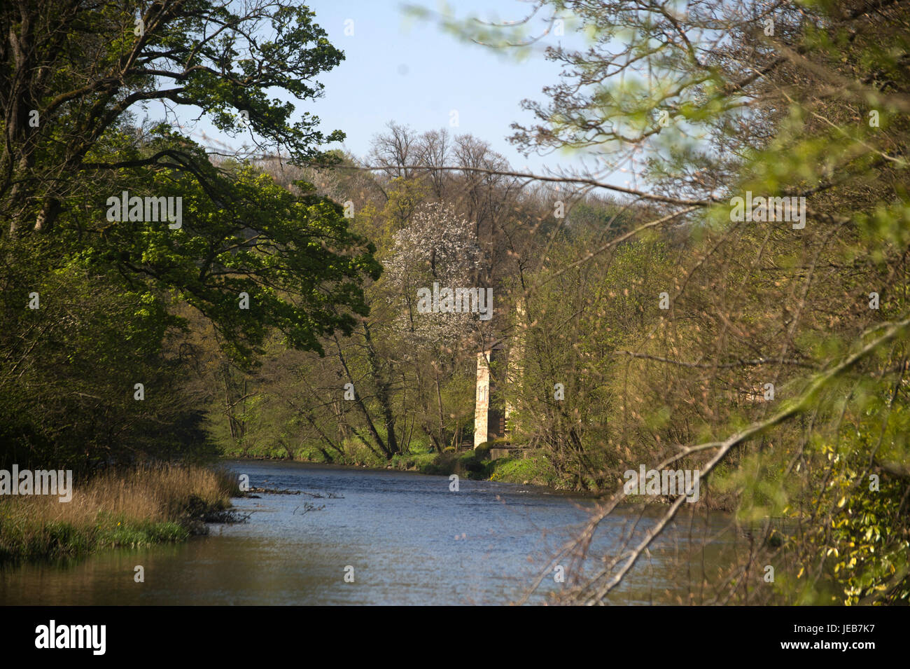 River Coquet and Felton Mill at Felton, Northumberland Stock Photo - Alamy