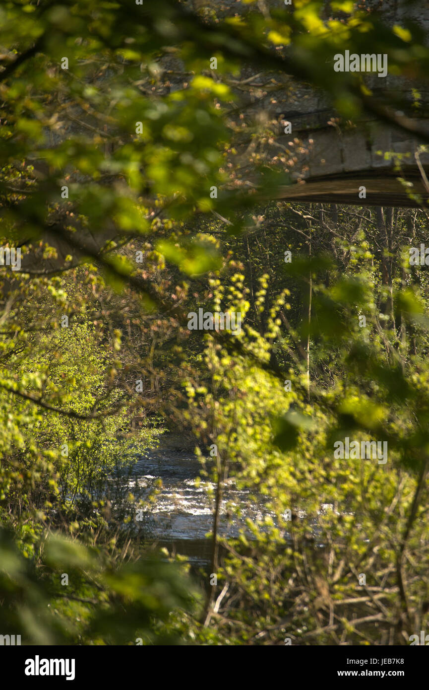 River Coquet at Felton, Northumberland Stock Photo - Alamy