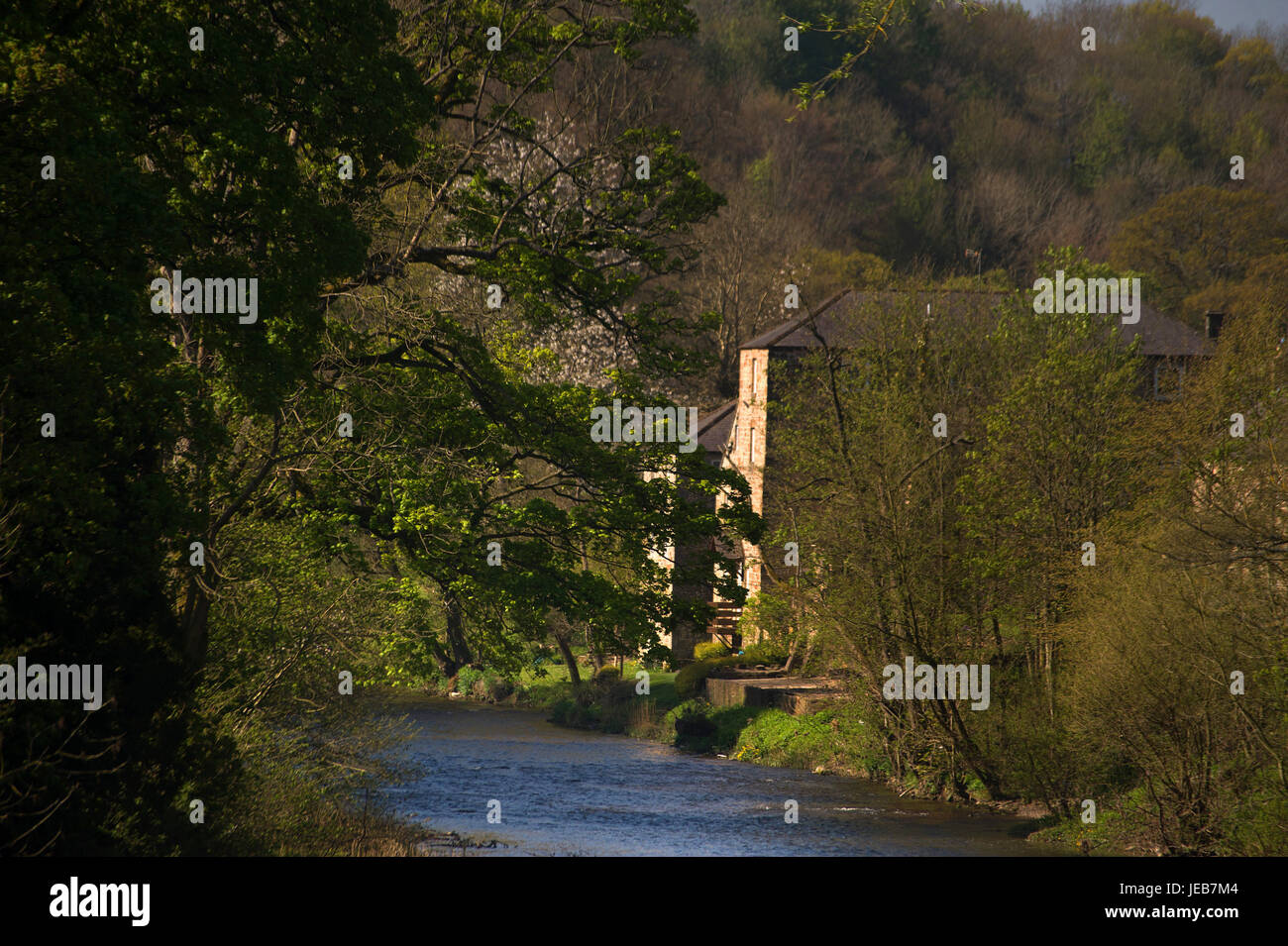 River Coquet and Felton Mill at Felton, Northumberland Stock Photo - Alamy