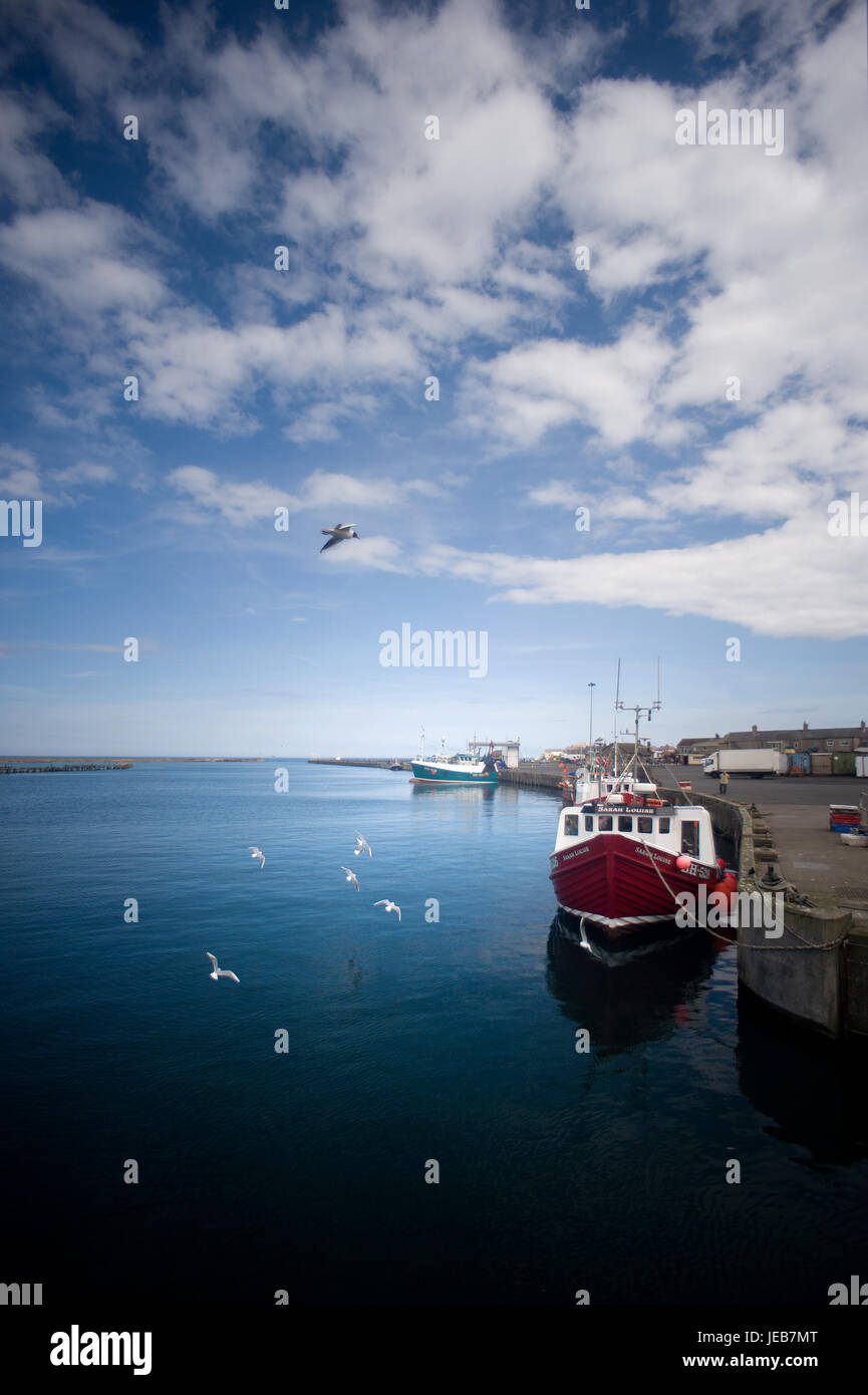Amble harbour in Northumberland with fishing boats Stock Photo - Alamy