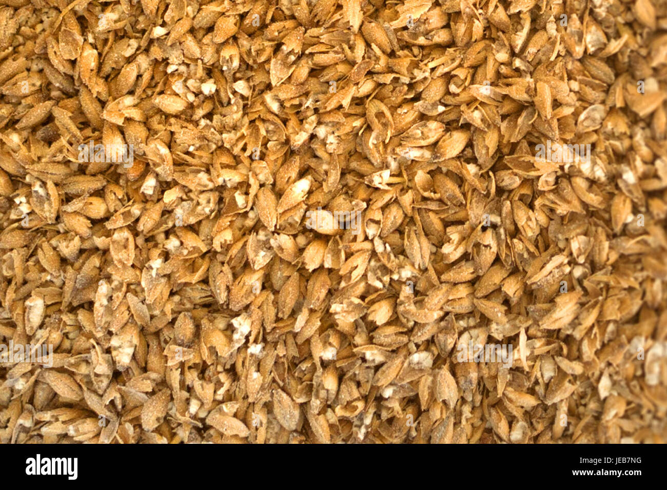 Barley. Ingredient for beer Stock Photo - Alamy