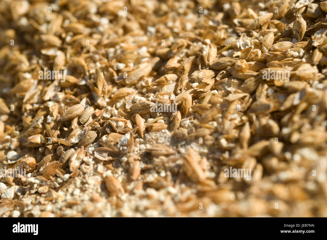 Whole grain milling barley hi-res stock photography and images - Alamy