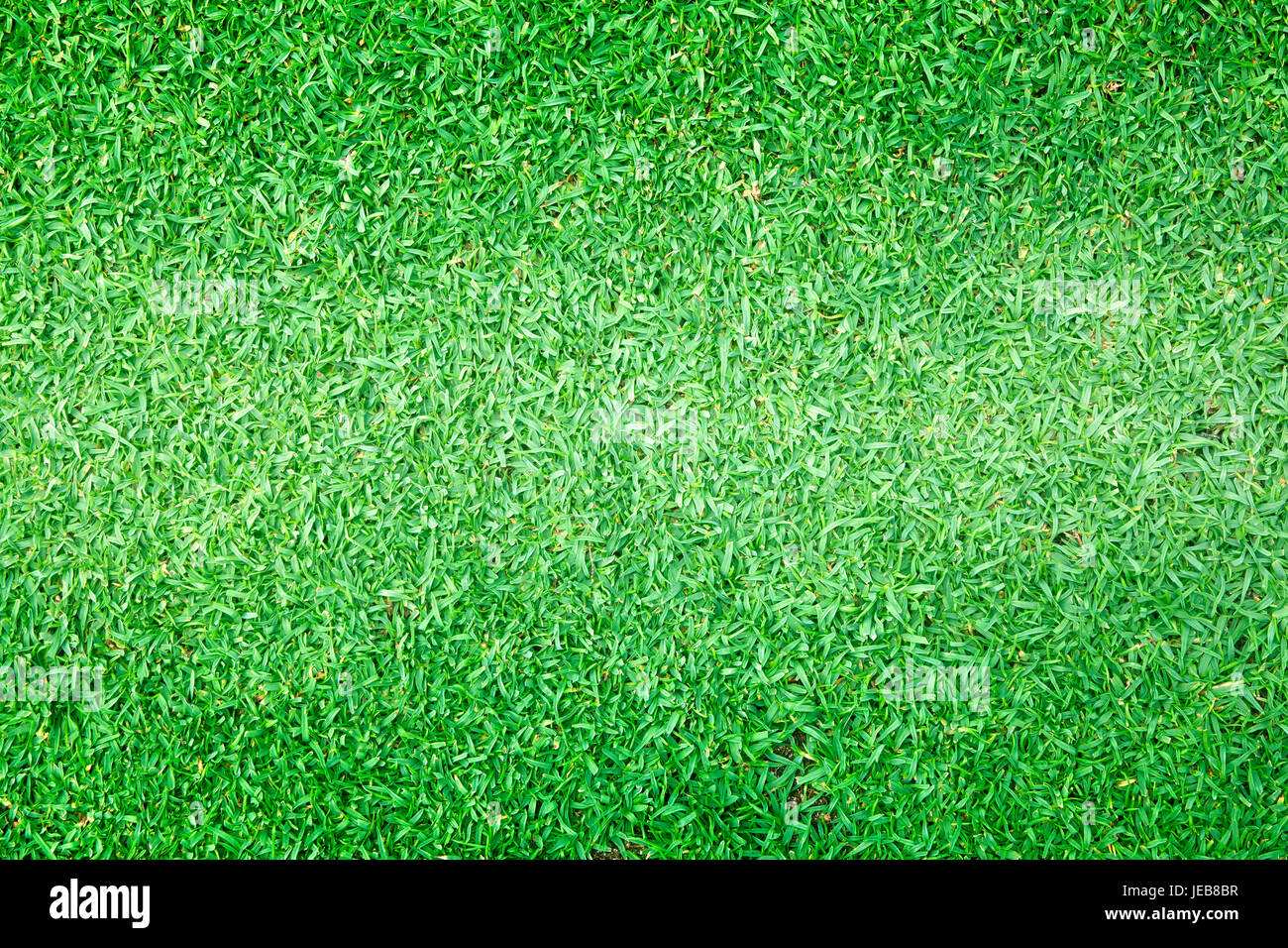 grass background Golf Courses green lawn pattern textured background ...