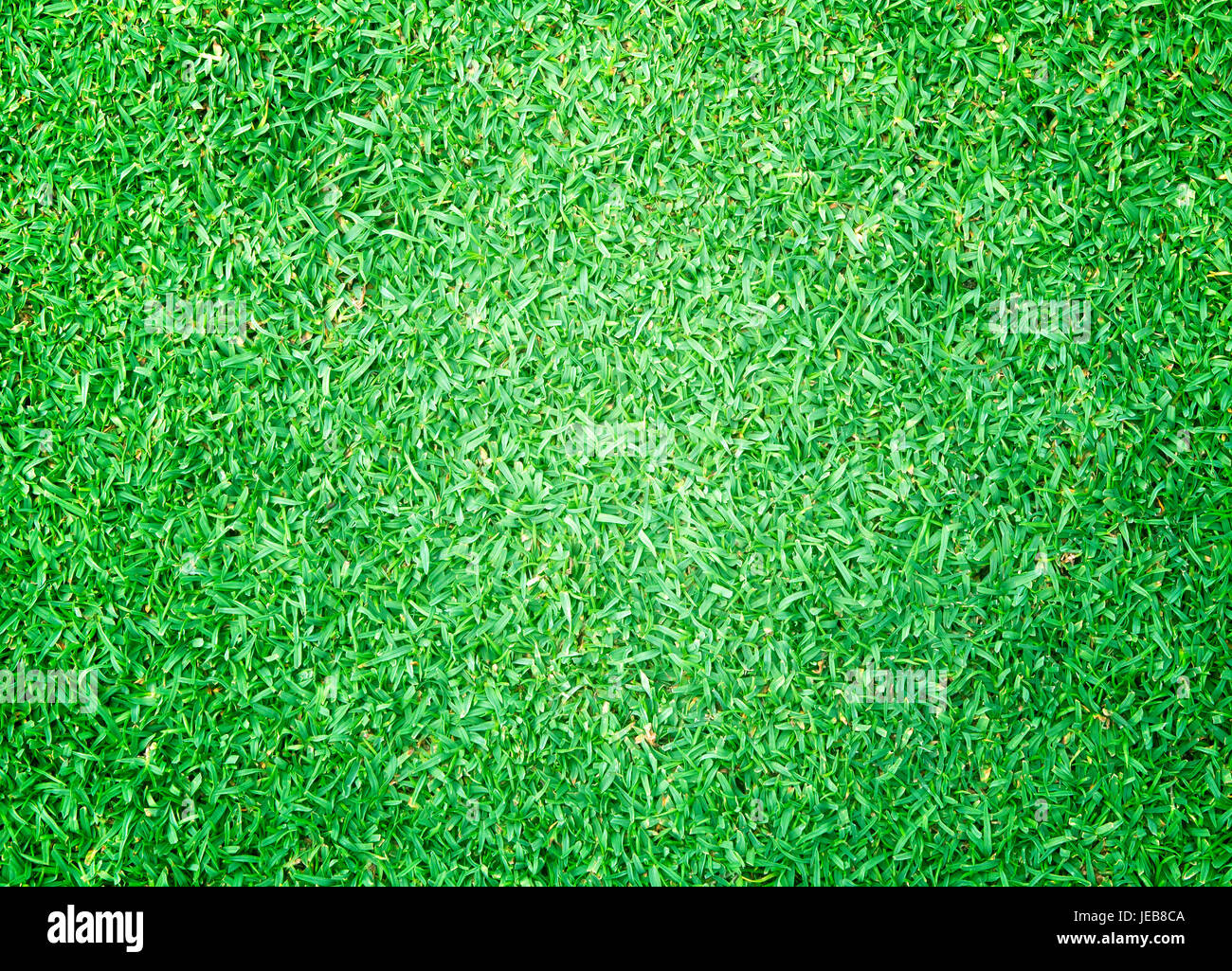 grass background Golf Courses green lawn pattern textured background ...