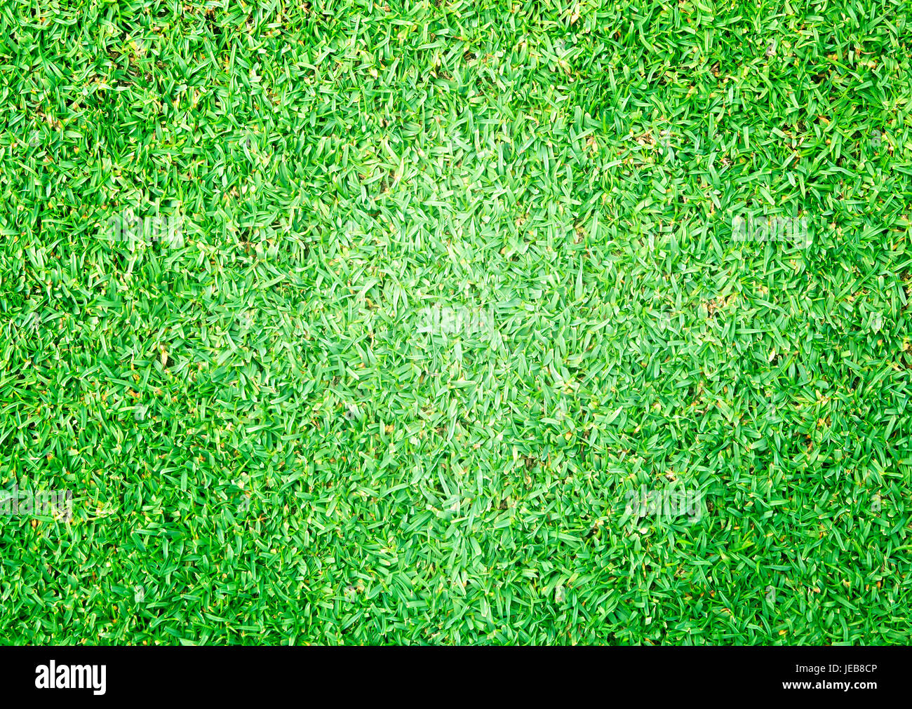 grass background Golf Courses green lawn pattern textured background ...