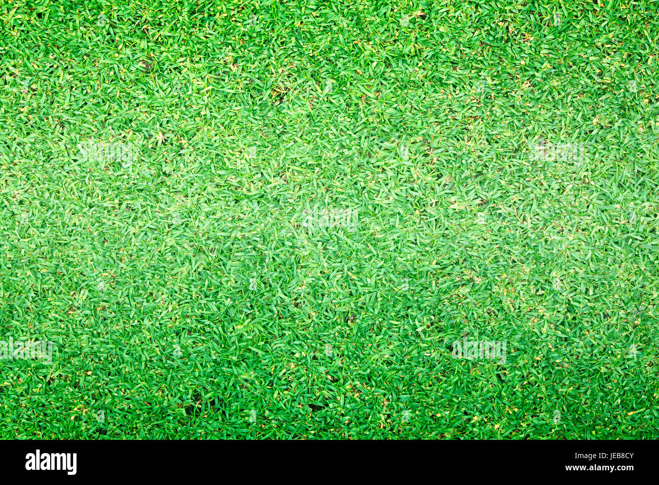 grass background Golf Courses green lawn pattern textured background ...