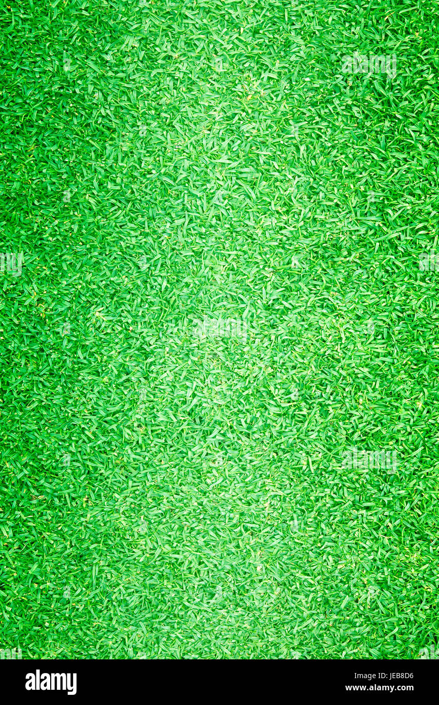 grass background Golf Courses green lawn pattern textured background ...