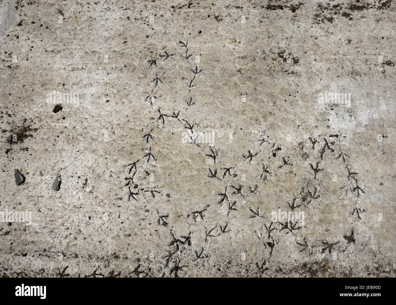 Cement traces hi-res stock photography and images - Alamy