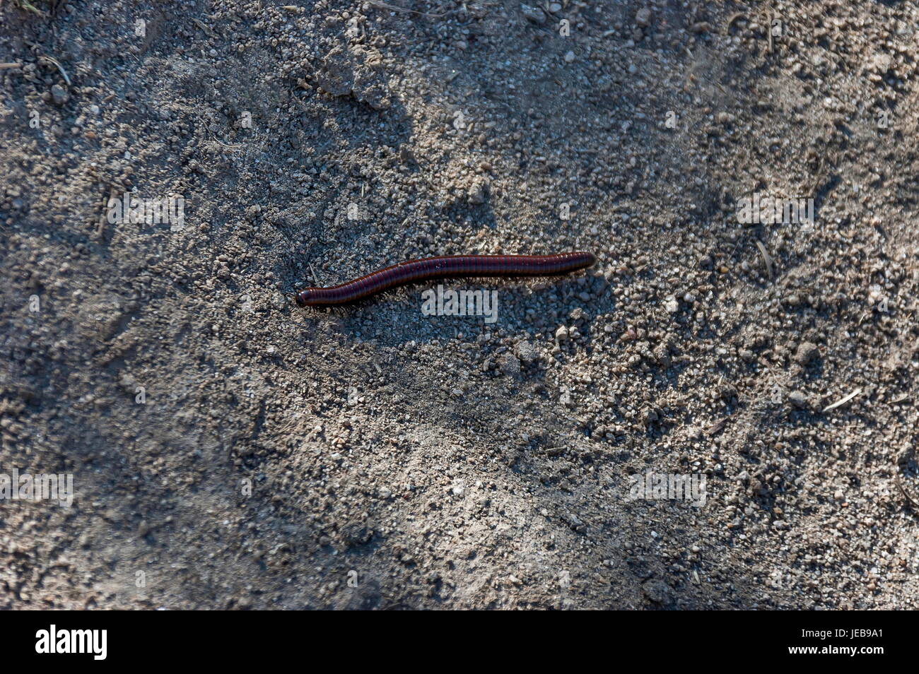 Soil creep road hi-res stock photography and images - Alamy