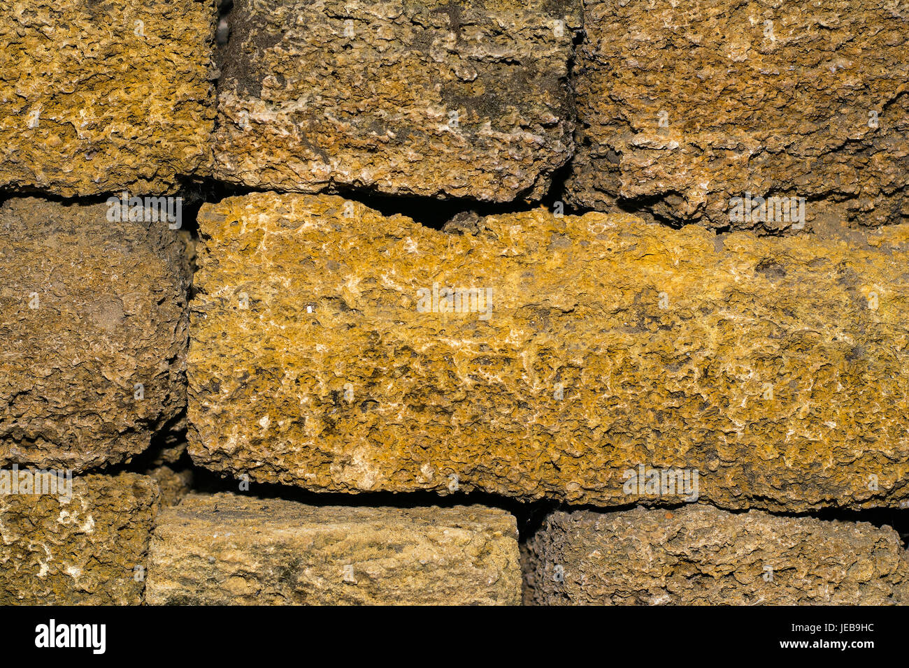 Seashell building hi-res stock photography and images - Alamy