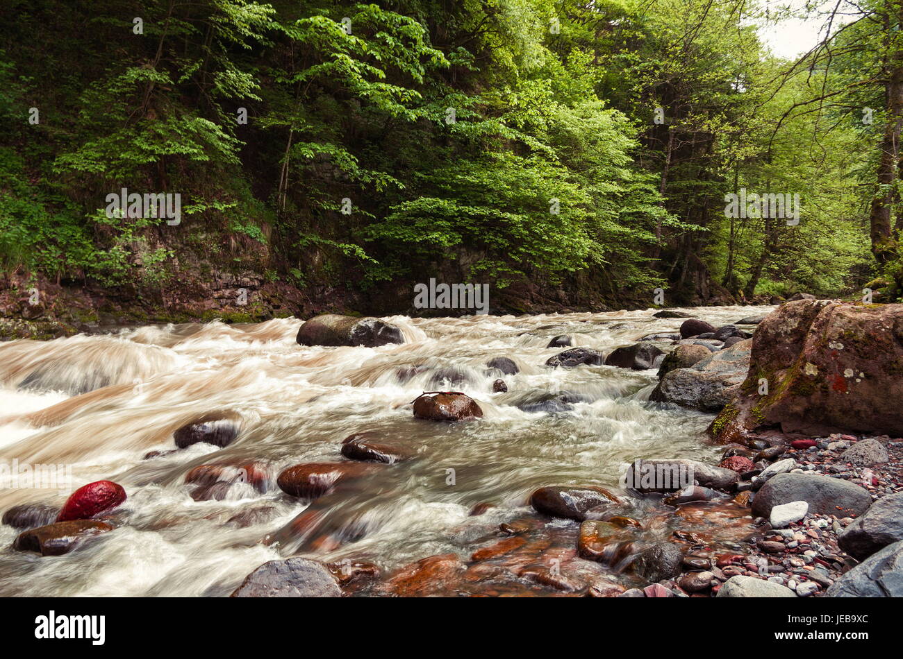 Beautiful Georgian landscape in summer.River in forest. Georgia ...