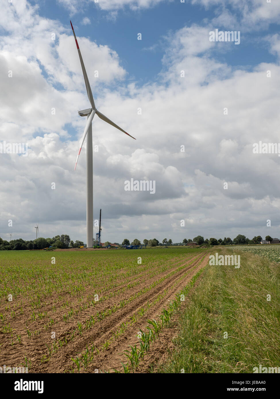 Newly built windmill between fields with corn and cloudy sky Stock ...