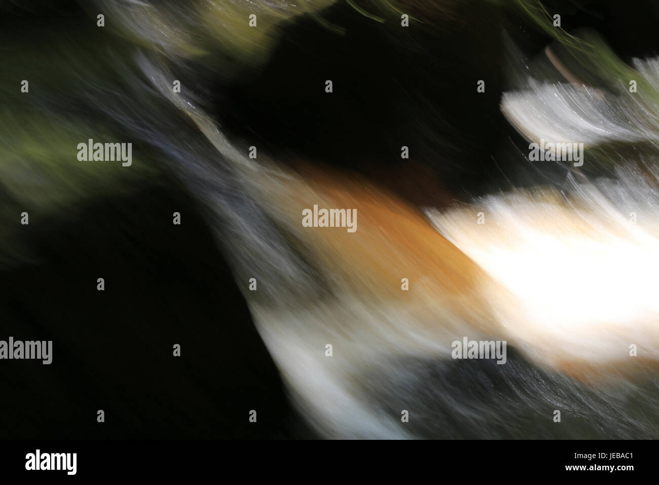 Water stress hi-res stock photography and images - Alamy