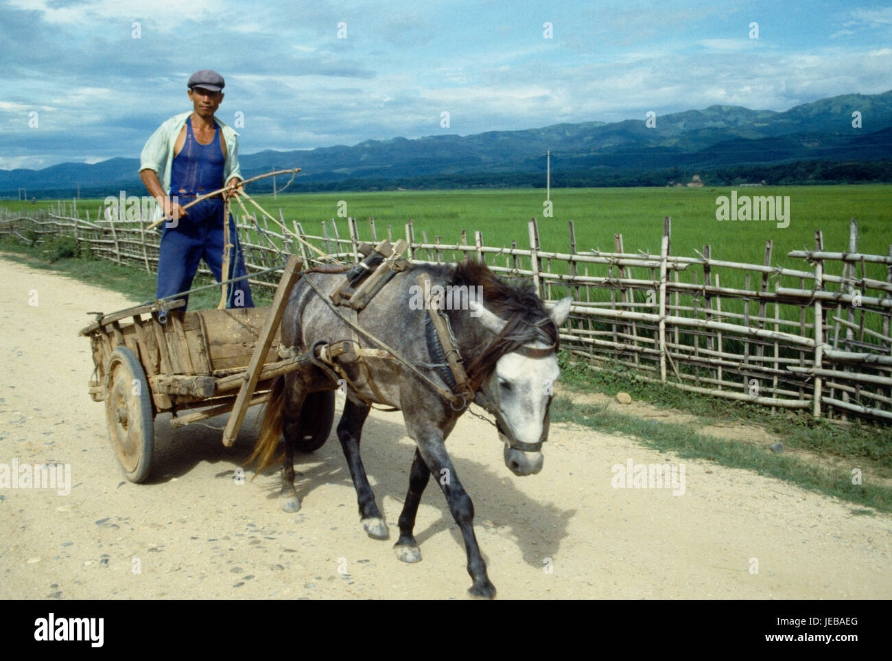 Driving horse cart hi-res stock photography and images - Alamy