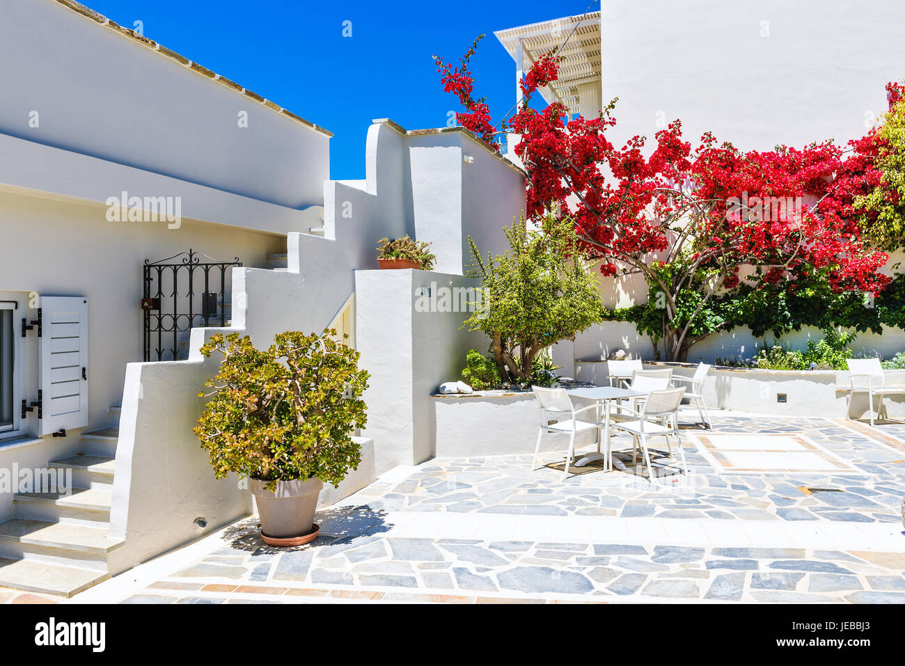 Beautiful white greek flowers on hi-res stock photography and images ...