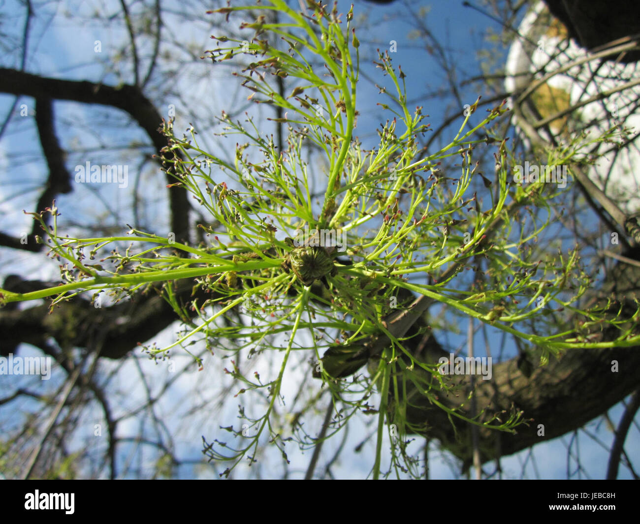 The Esche Water Tower in Hockenheim, Germany, is a notable landmark ...