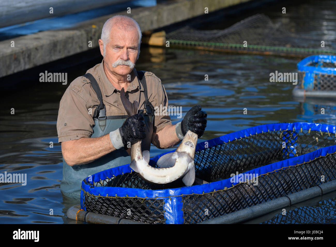 fisherman fishing inside water Stock Photo - Alamy